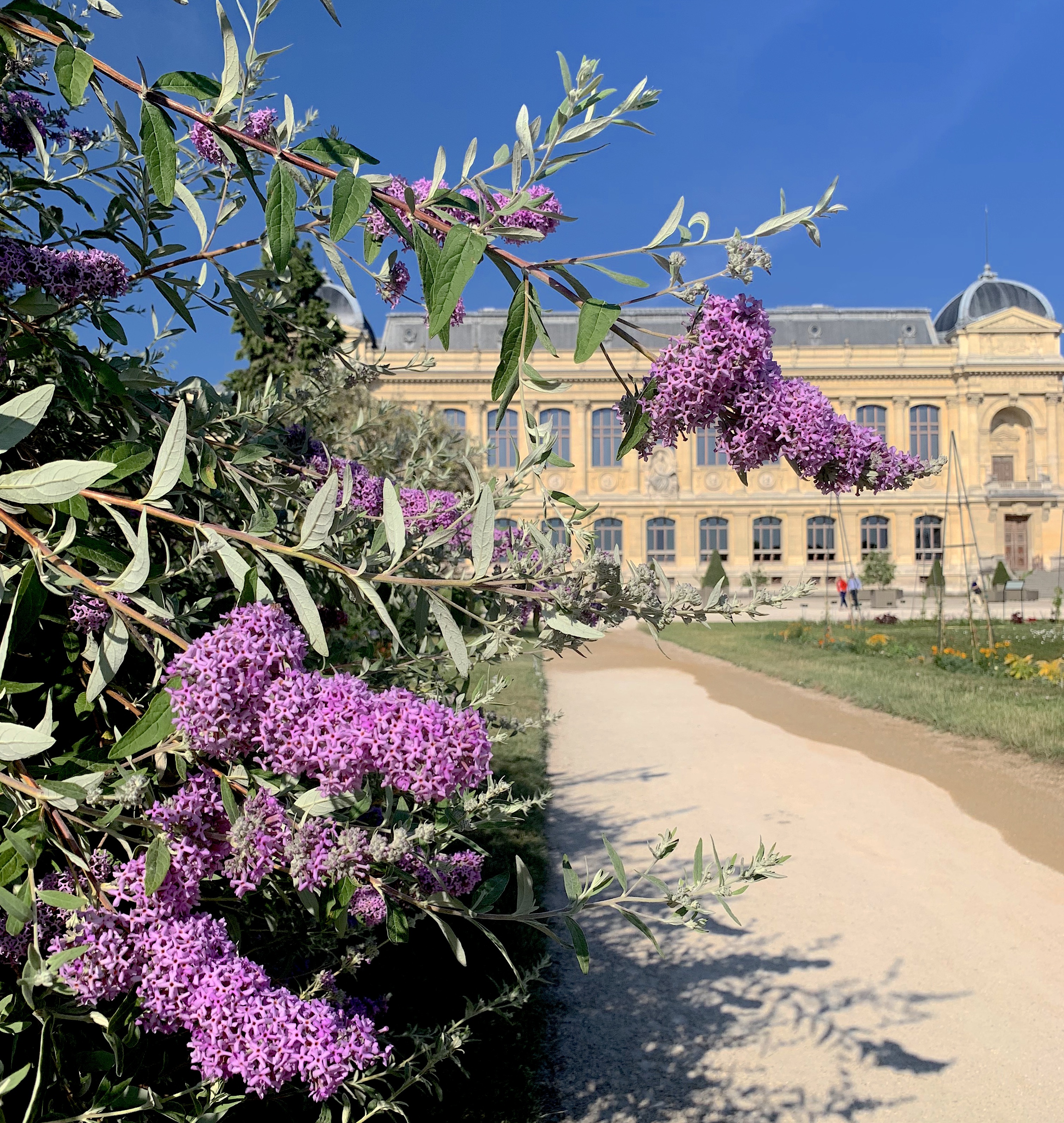 Paris or the French Countryside: A Beautiful Dilemma – The Simply ...